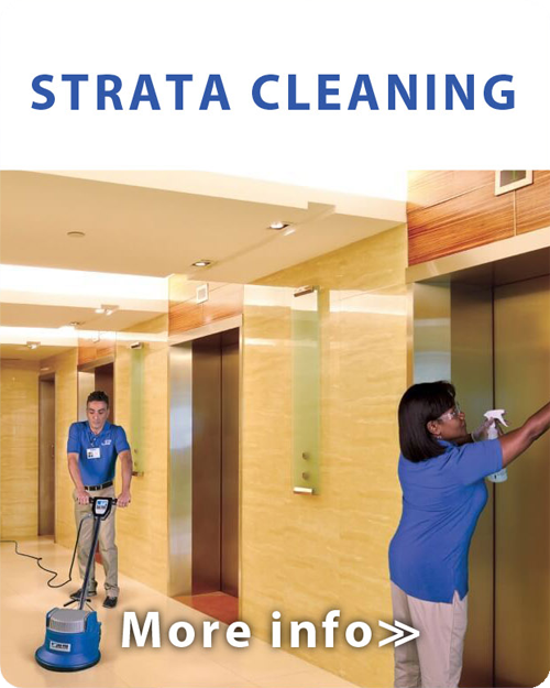 Stress Free Cleaning Services In Vancouver